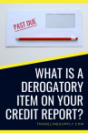 What Is a Derogatory Item on Your Credit Report?