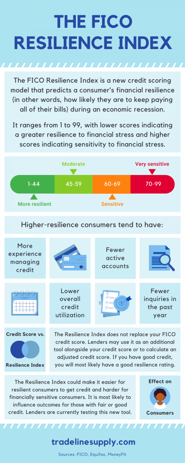 FICO Resilience Index: Should You Be Worried? [Infographic] | Tradeline ...
