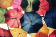 Insurance Basics You Should Know to Protect Your Credit Score